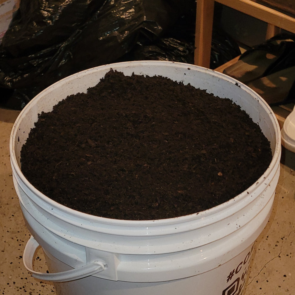 Bug Bulk Flake – Georgia Beetles